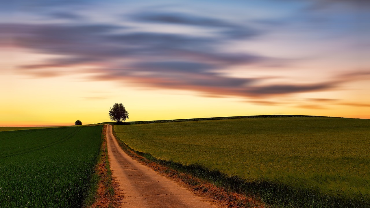 Clearing Paths – You Are Love Now