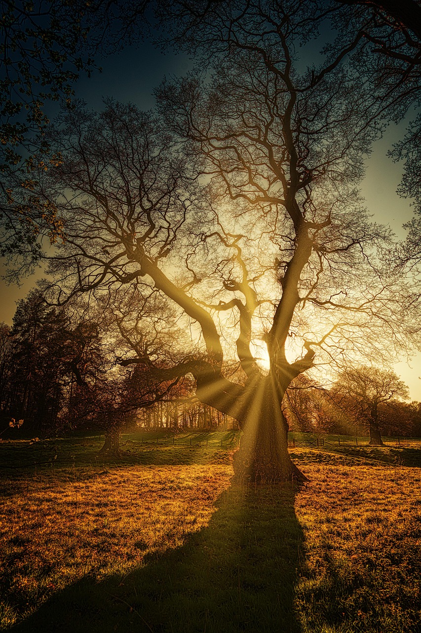 Remembering Light – You Are Love Now